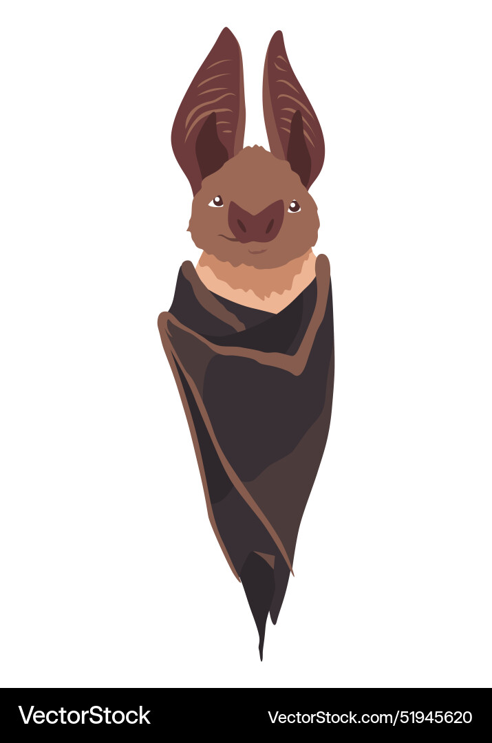 Bat concept cartoon clipart Royalty Free Vector Image