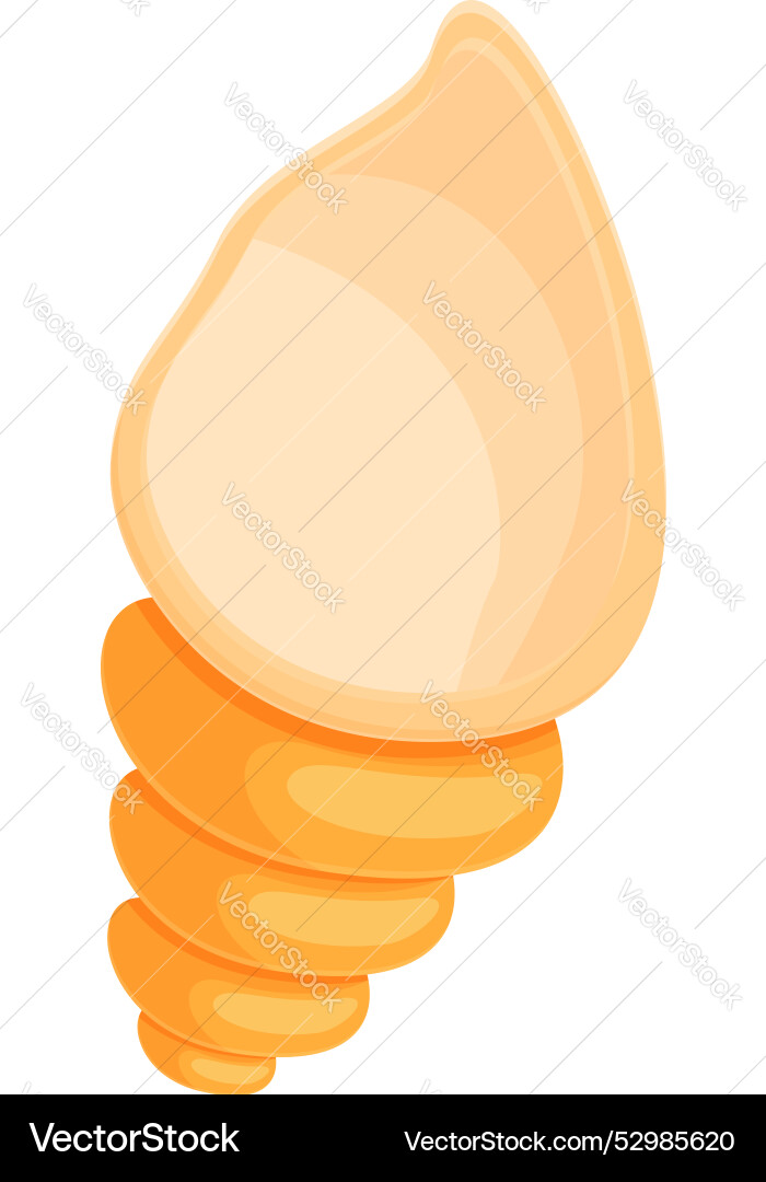 Beautiful seashell standing upright on white Vector Image