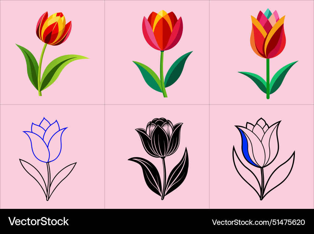 Print tulip Royalty Free Vector Image - VectorStock