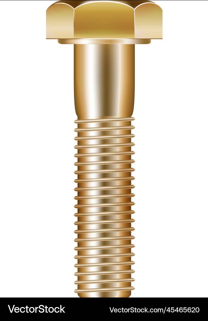 Realistic screw bolt Royalty Free Vector Image