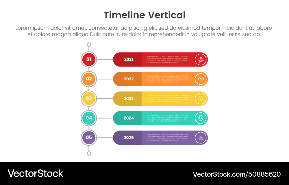 Vertical timeline milestone infographic template Vector Image