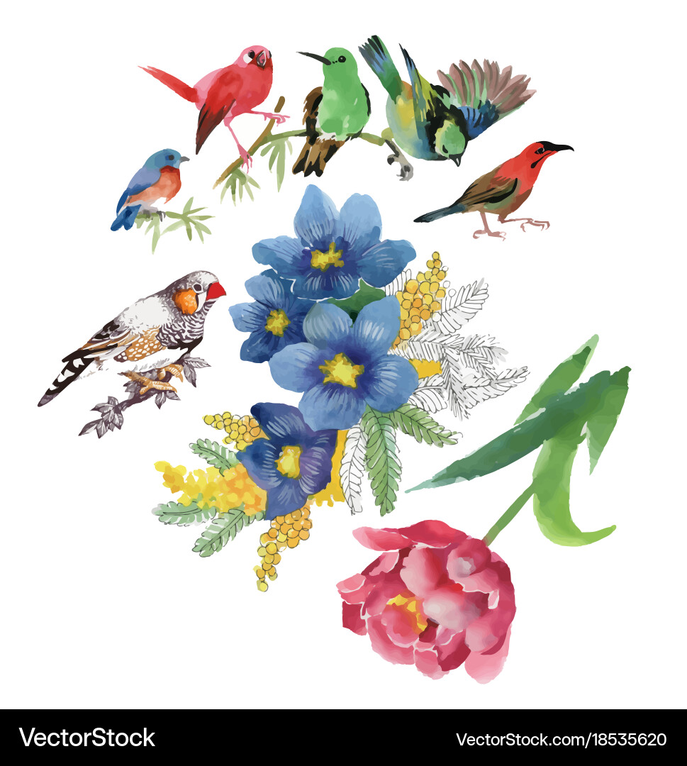 Watercolor Floral Bird Pattern Royalty Free Vector Image