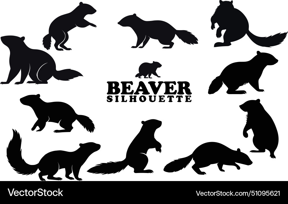 Beaver Royalty Free Vector Image - VectorStock