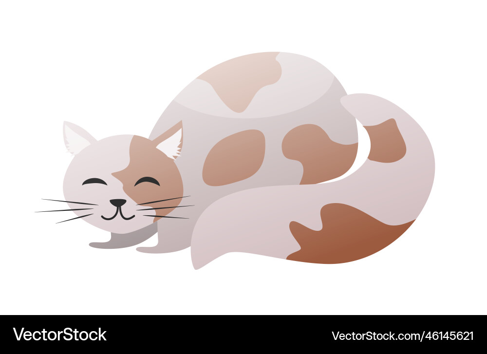 Domestic fluffy pet cat Royalty Free Vector Image