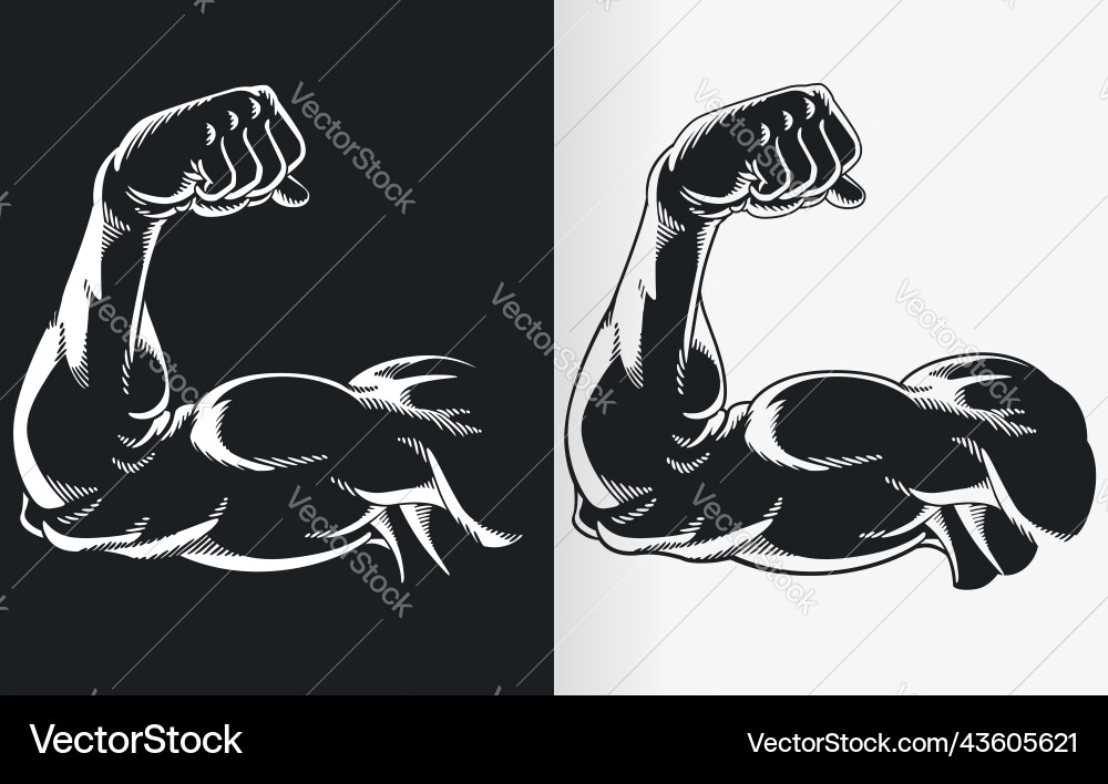Silhouette black arm flexing bicep muscle Vector Image