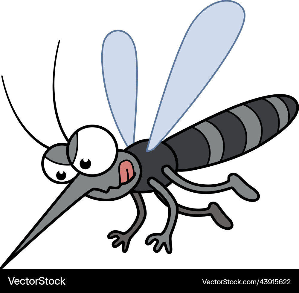 Flying Mosquito Cartoon Animated Flying Mosquito