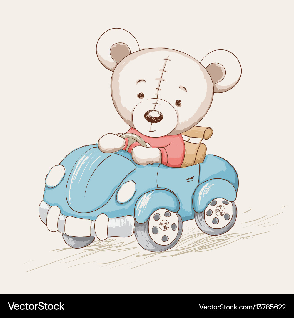 Cute funny bear drive a car Royalty Free Vector Image