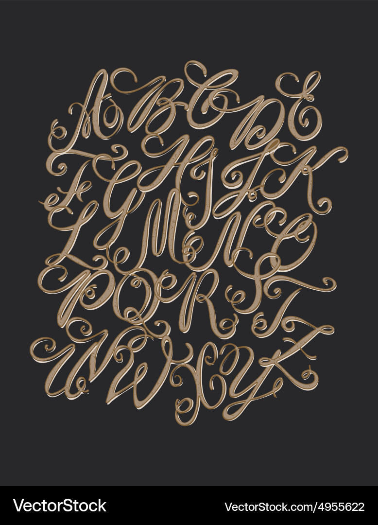 Hand drawn elegant alphabet delicate letters Vector Image