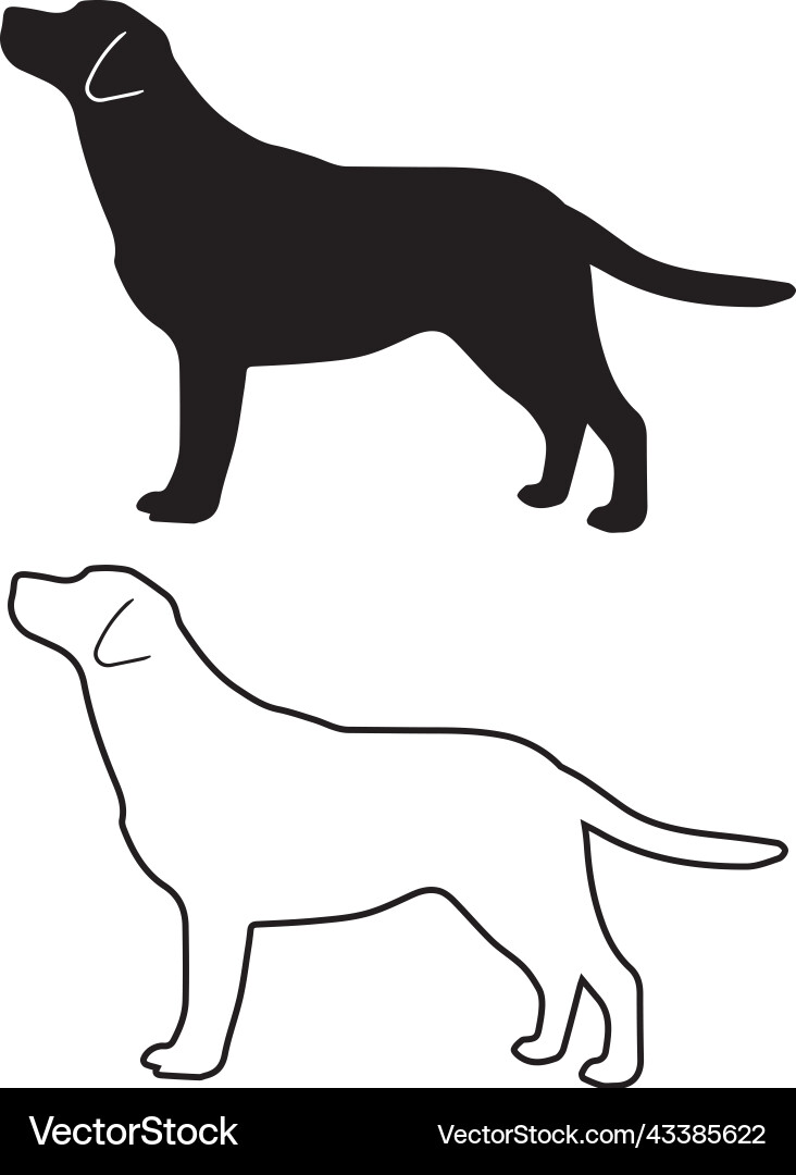 Labrador retriever outline 2 Royalty Free Vector Image