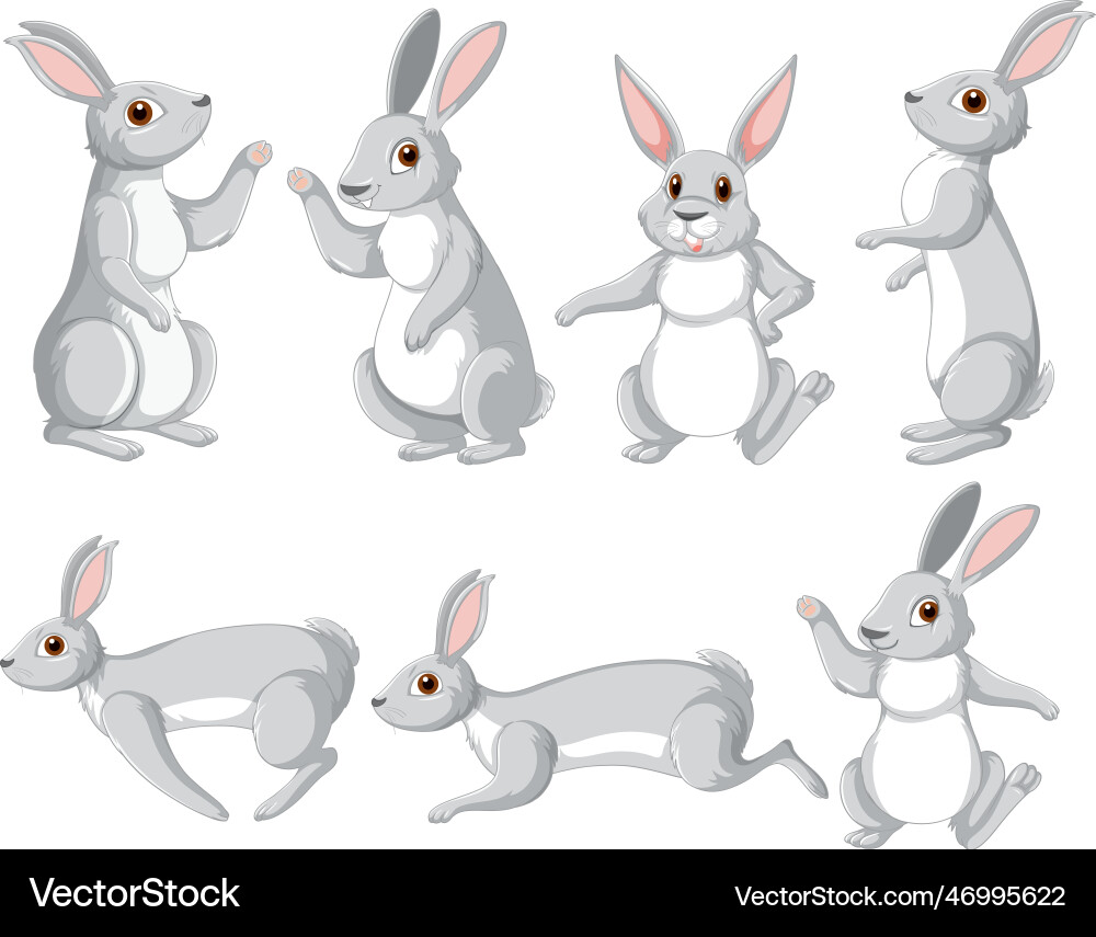 White rabbits in different poses set Royalty Free Vector