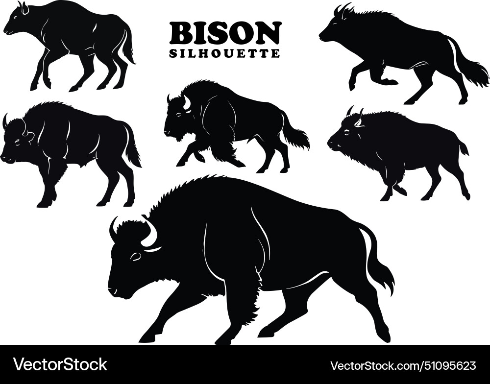 Bison Royalty Free Vector Image - VectorStock