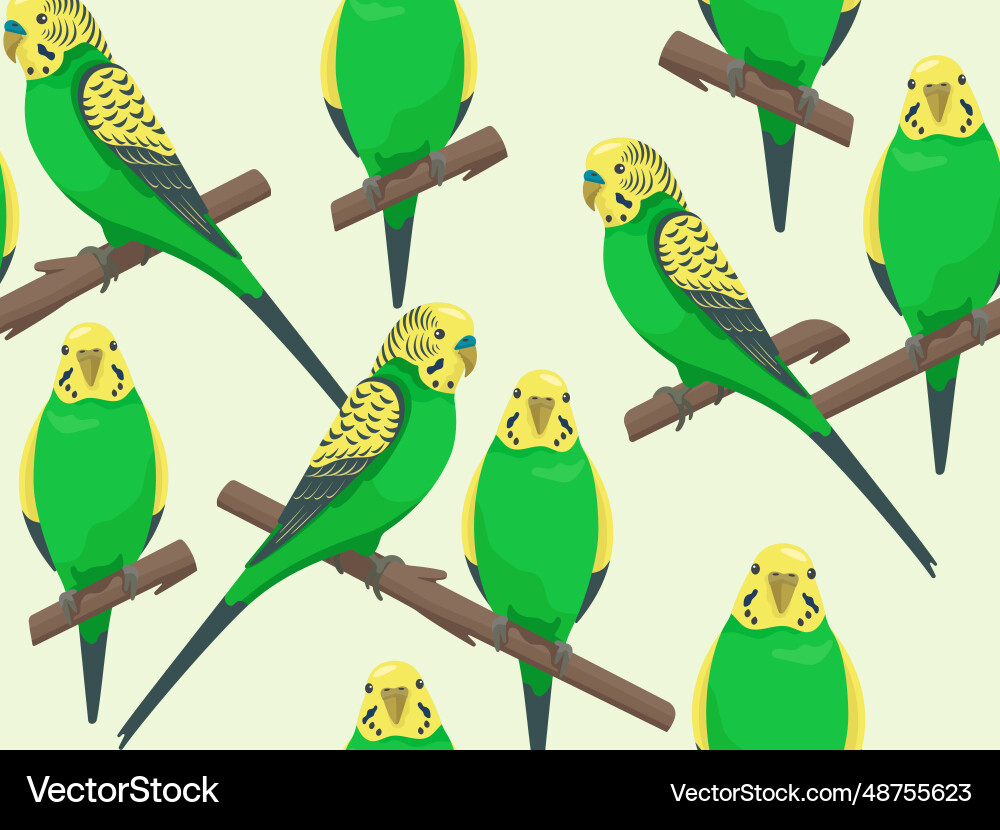 Colorful Bird Pattern Vector Images (over 34,000)