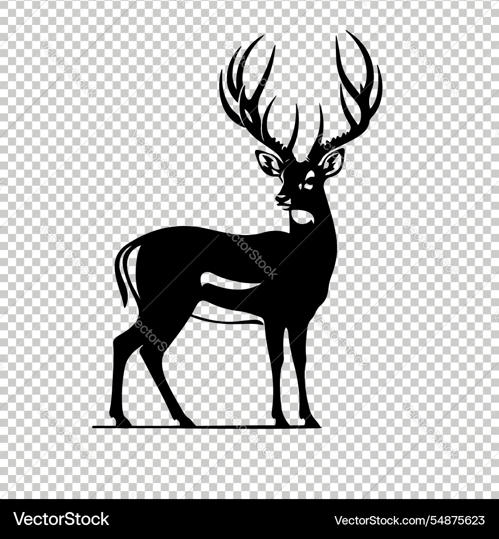 Whitetail deer Royalty Free Vector Image - VectorStock