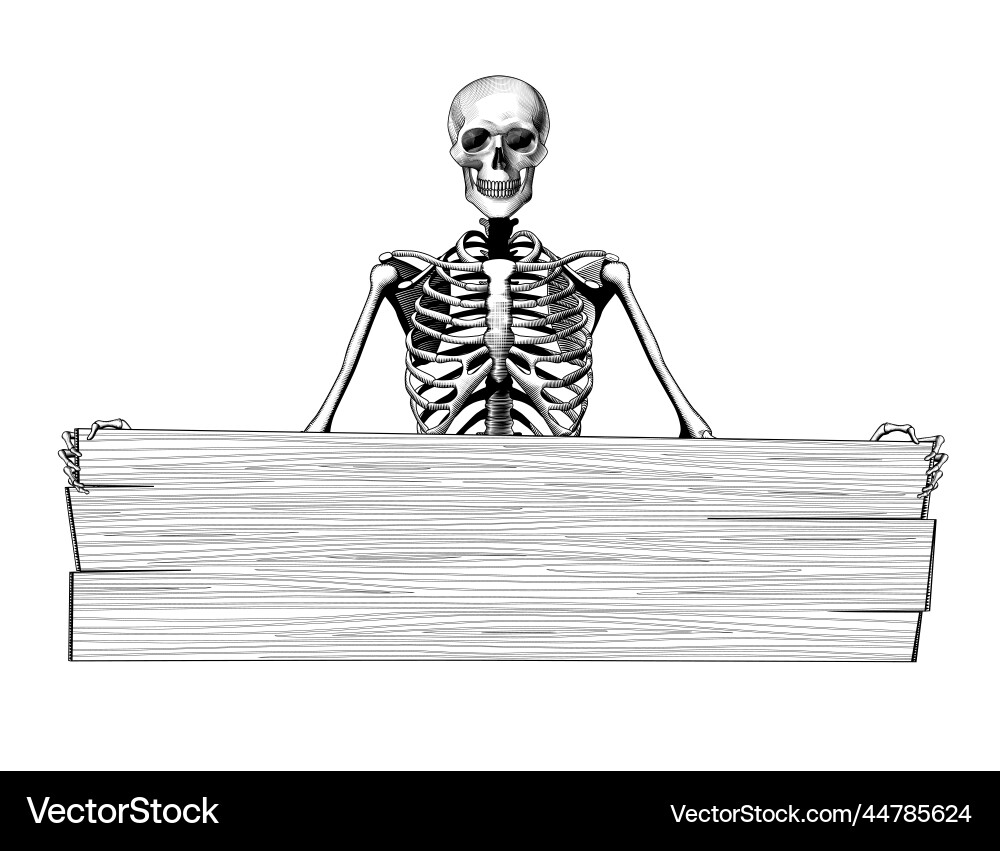 Human skeleton full length and face Royalty Free Vector