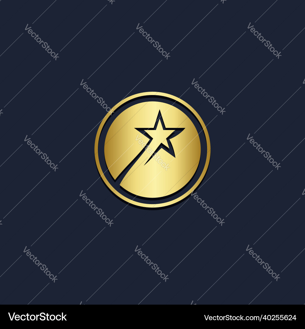 Star round gold logo Royalty Free Vector Image