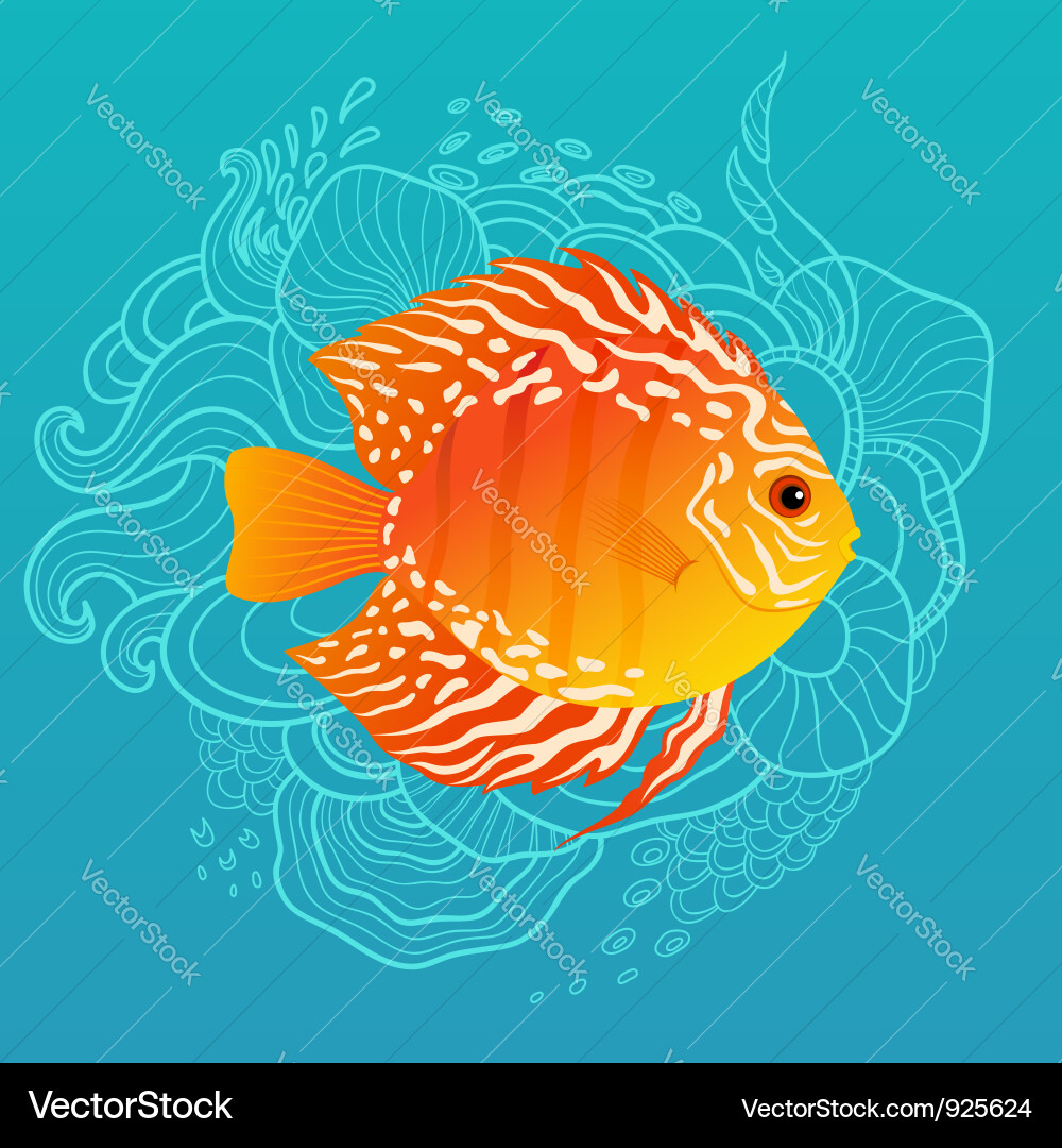 Sunny fish Royalty Free Vector Image - VectorStock