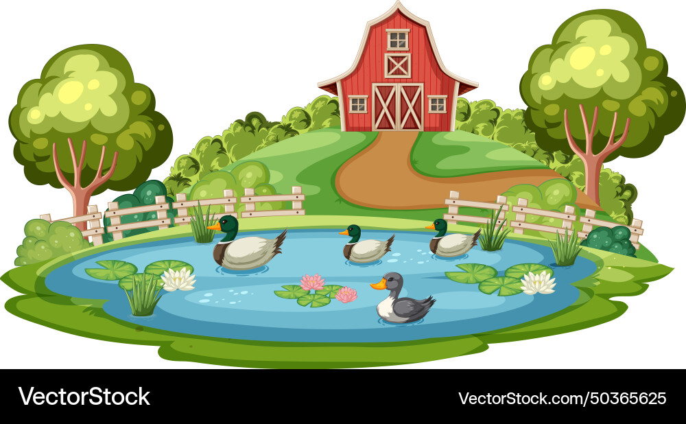 Ducks swimming in a farm pond Royalty Free Vector Image