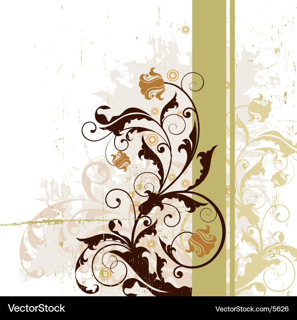 Floral elements Royalty Free Vector Image - VectorStock