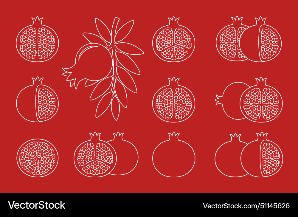 Pomegranate Royalty Free Vector Image - VectorStock