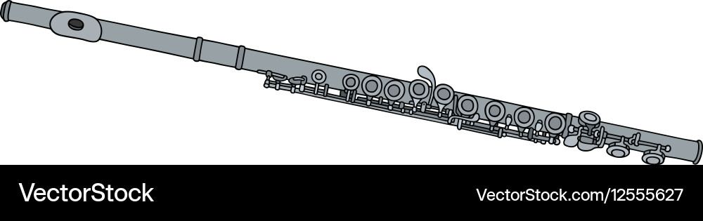 Classic silver flute Royalty Free Vector Image