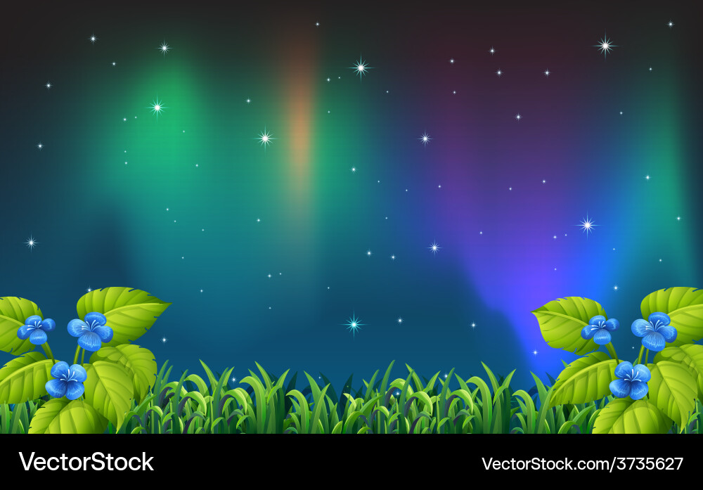 Night scene Royalty Free Vector Image - VectorStock