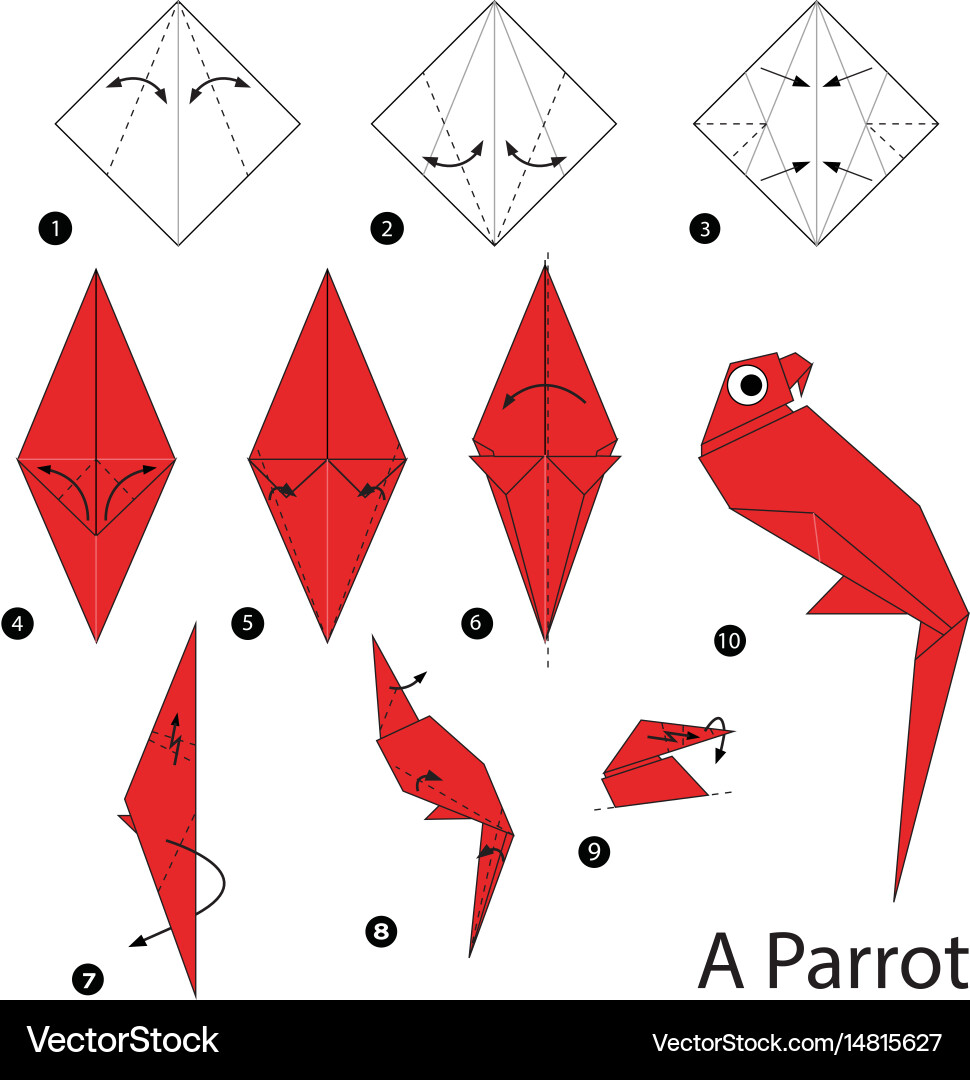 Step instructions how to make origami a parrot Vector Image