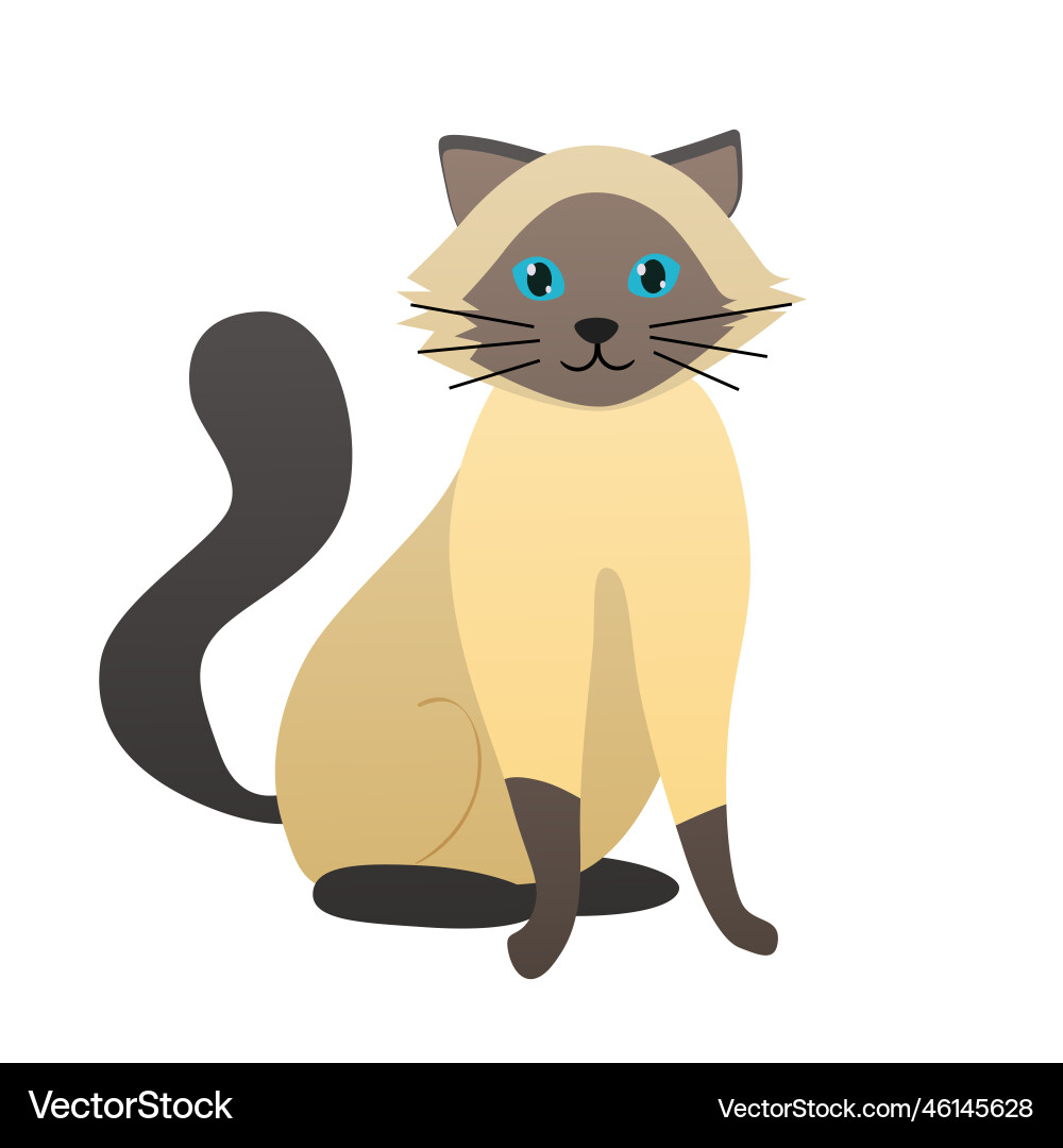 Siamese breed cat Royalty Free Vector Image - VectorStock