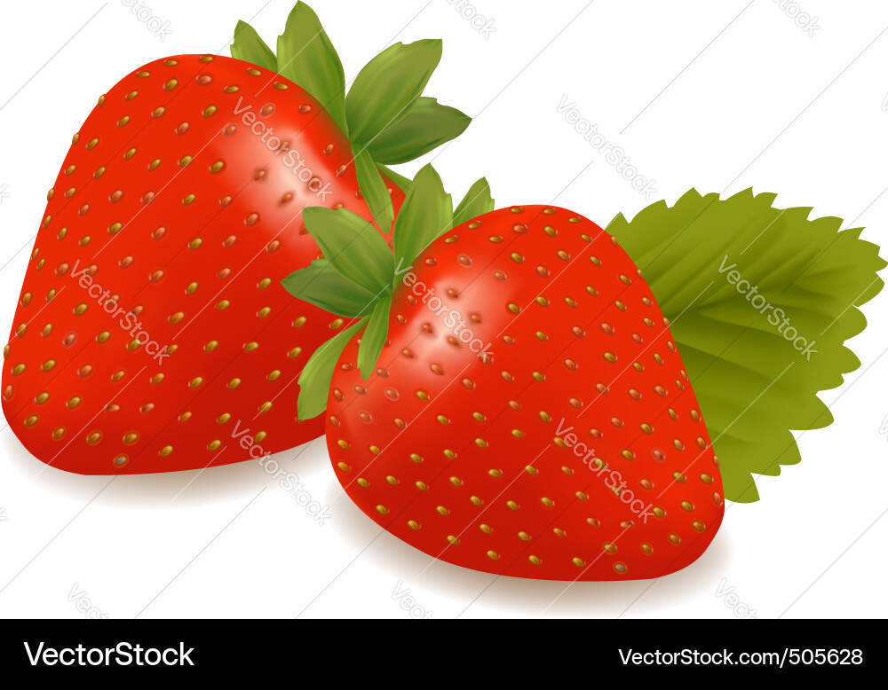 Strawberry Royalty Free Vector Image - VectorStock