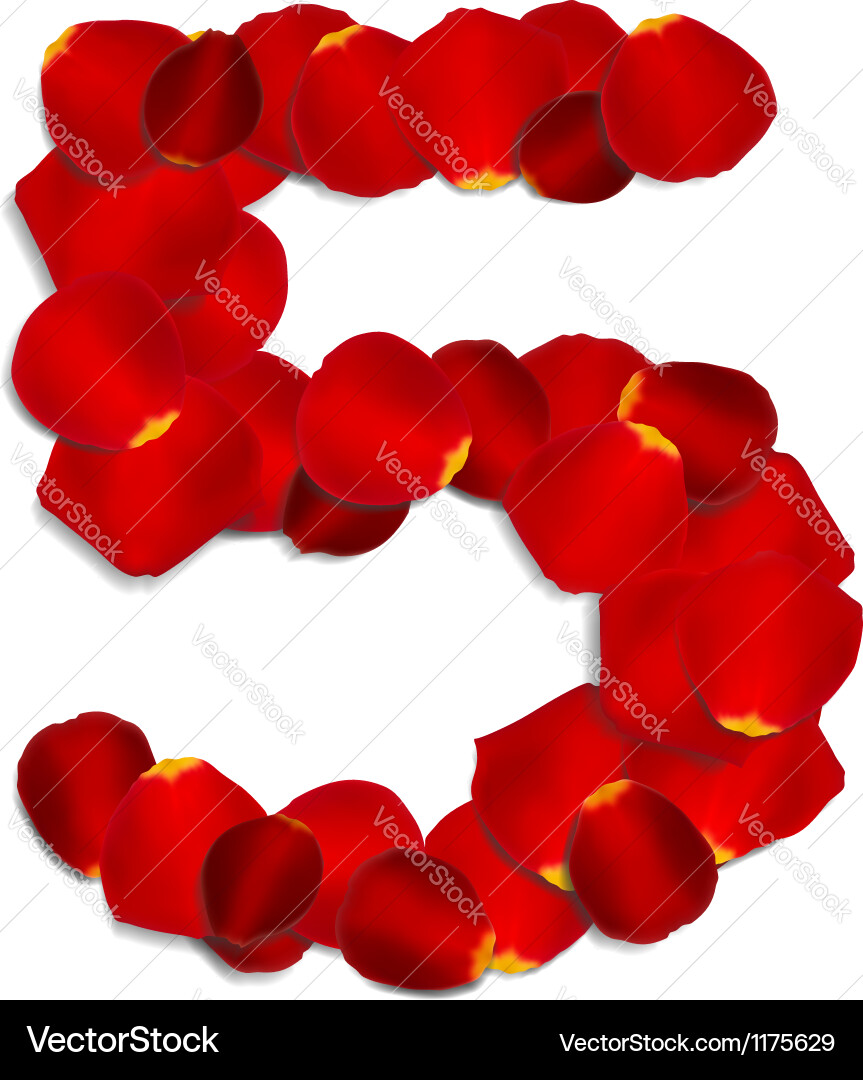 Number 5 Royalty Free Vector Image - VectorStock