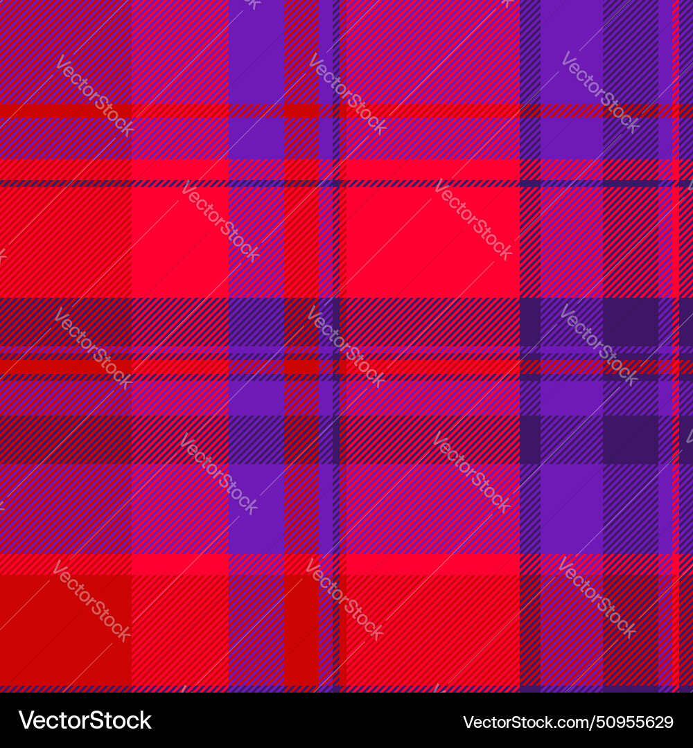 Plaid texture of textile pattern background Vector Image