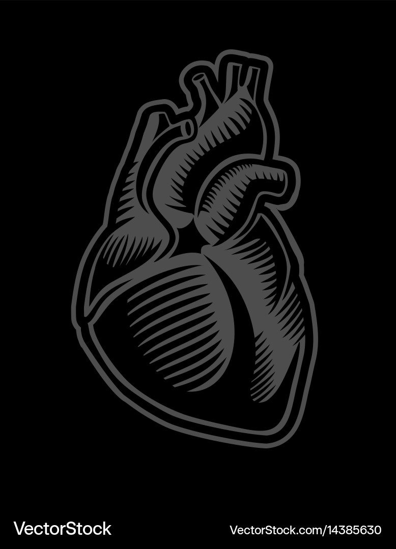 Heart Royalty Free Vector Image - VectorStock