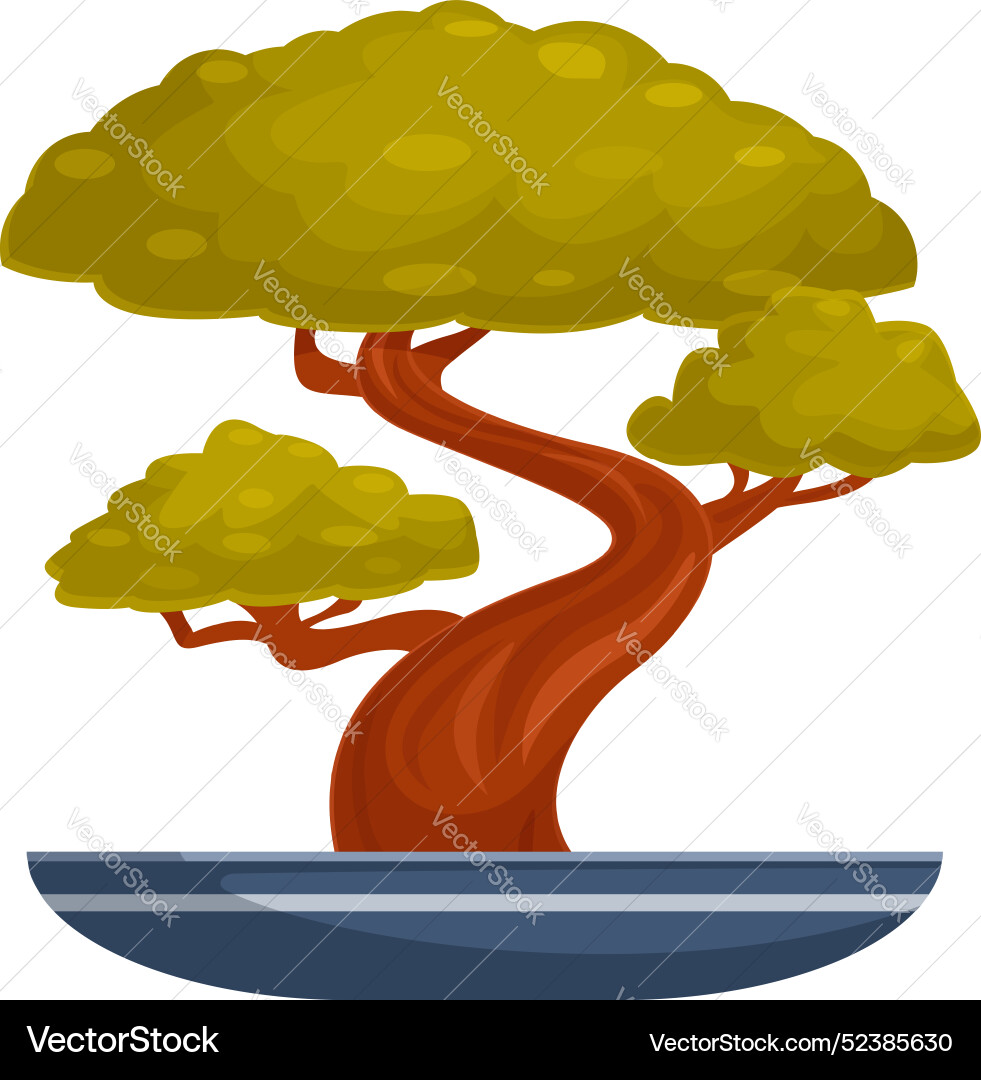 Small bonsai tree growing in a pot for home Vector Image