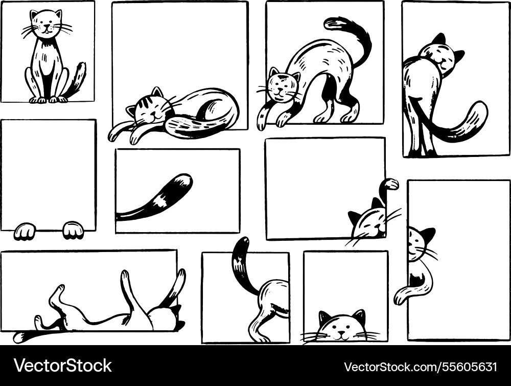 Cute Cats in Frames Royalty Free Vector Image - VectorStock