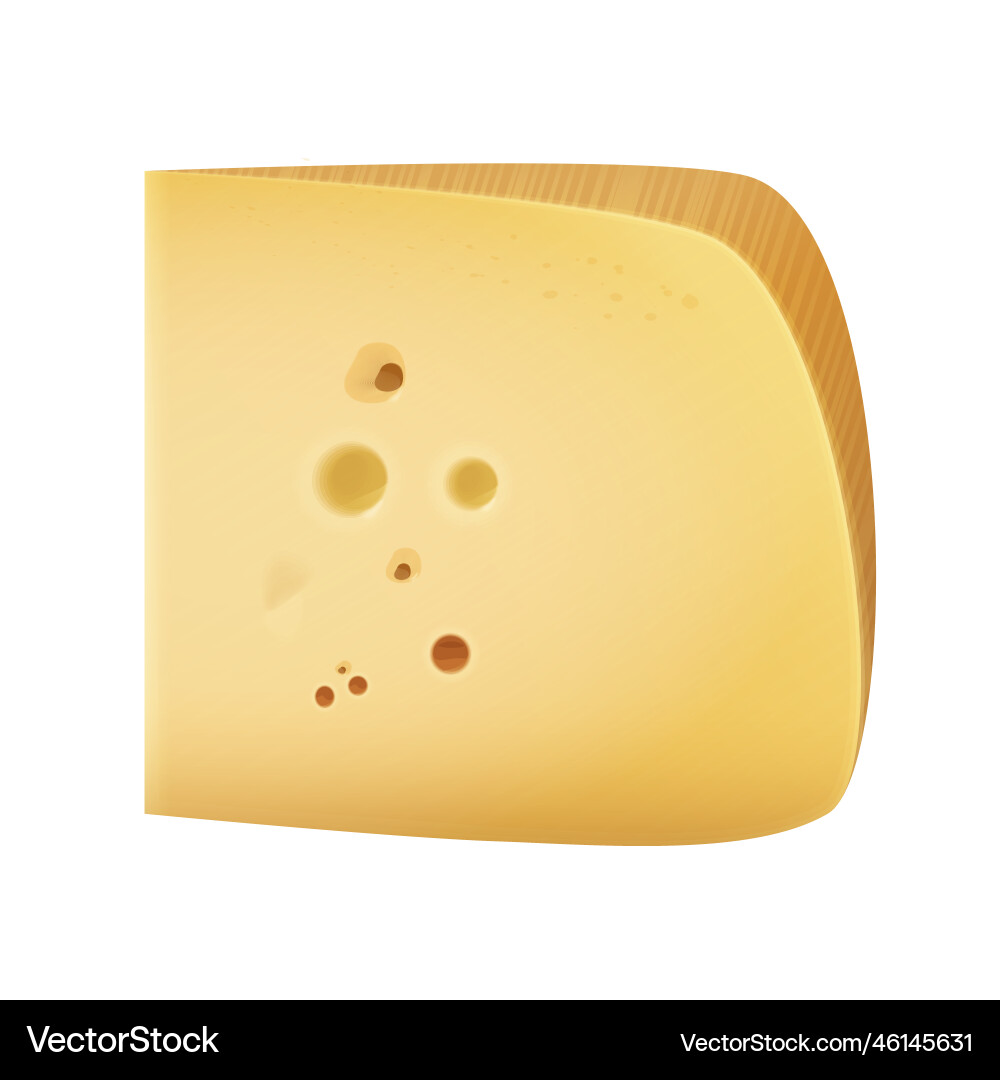 Piece of cheese Royalty Free Vector Image - VectorStock