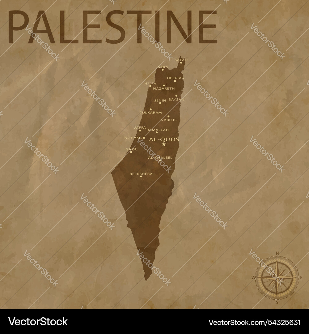 Vintage palestine map with regions borders and Vector Image