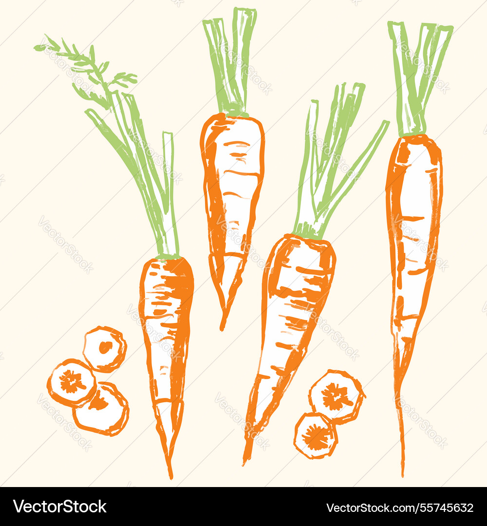 Hand-drawn carrots - line art collection Vector Image