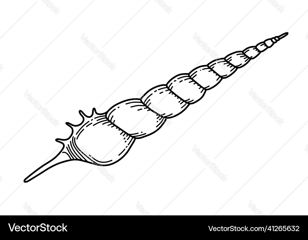 Seashell black line on white background Royalty Free Vector