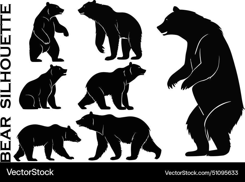 Bear Royalty Free Vector Image - VectorStock