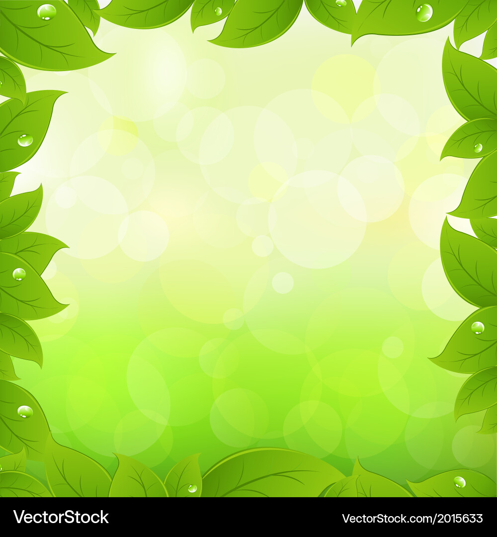 Spring leaves Royalty Free Vector Image - VectorStock