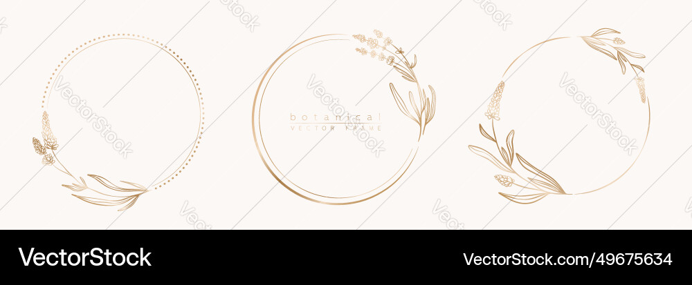 Botanical golden circle frame set Royalty Free Vector Image