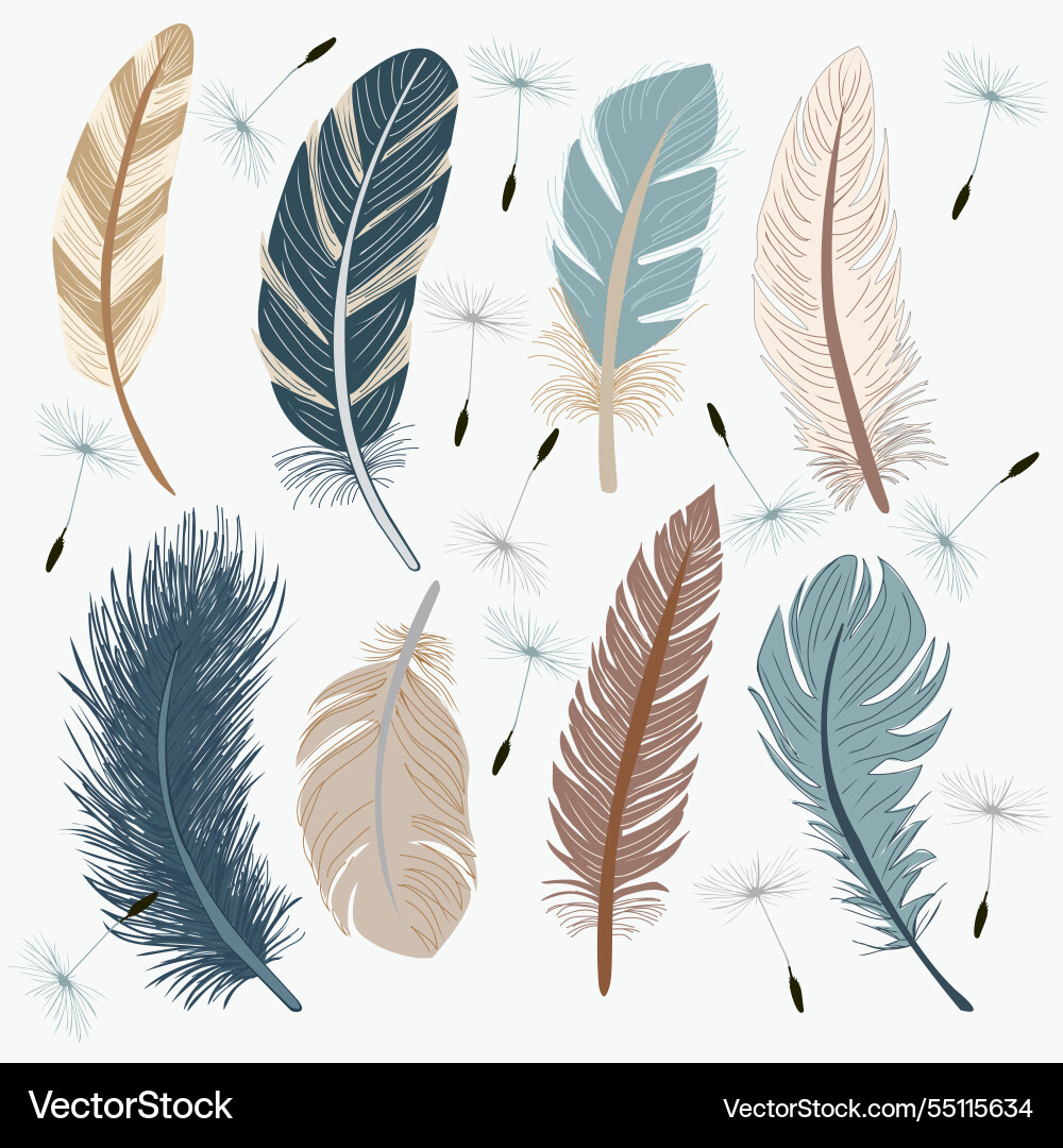 Collection of various bird feathers Royalty Free Vector
