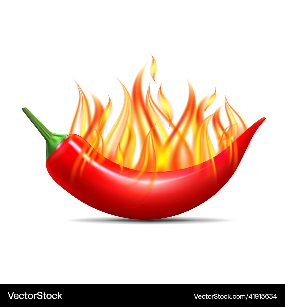 Flaming Red Chili Pepper Royalty Free Vector Image