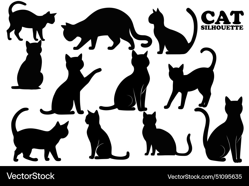 Cat Royalty Free Vector Image - VectorStock