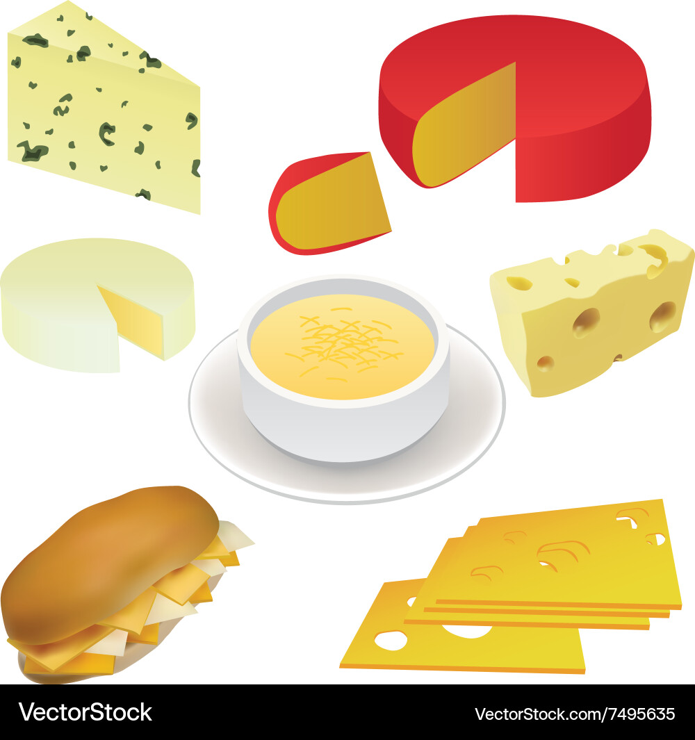 Cheese set Royalty Free Vector Image - VectorStock