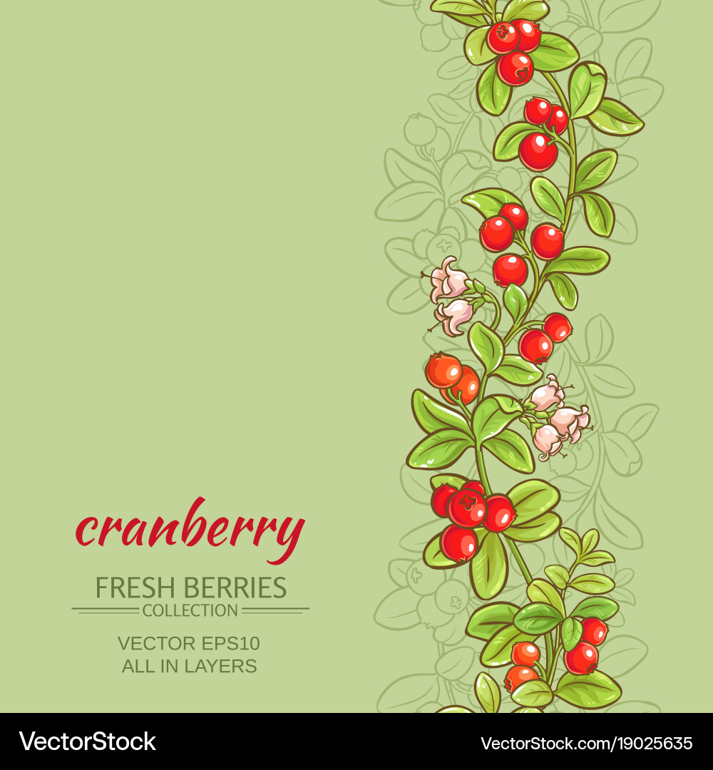 Cranberry background Royalty Free Vector Image