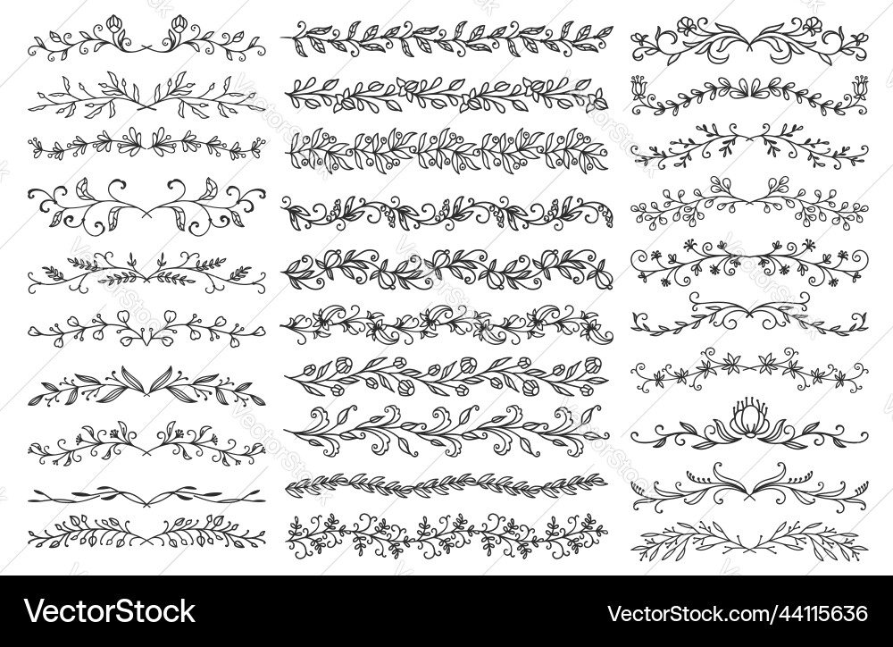 Floral Borders & Embellishments Royalty Free Vector