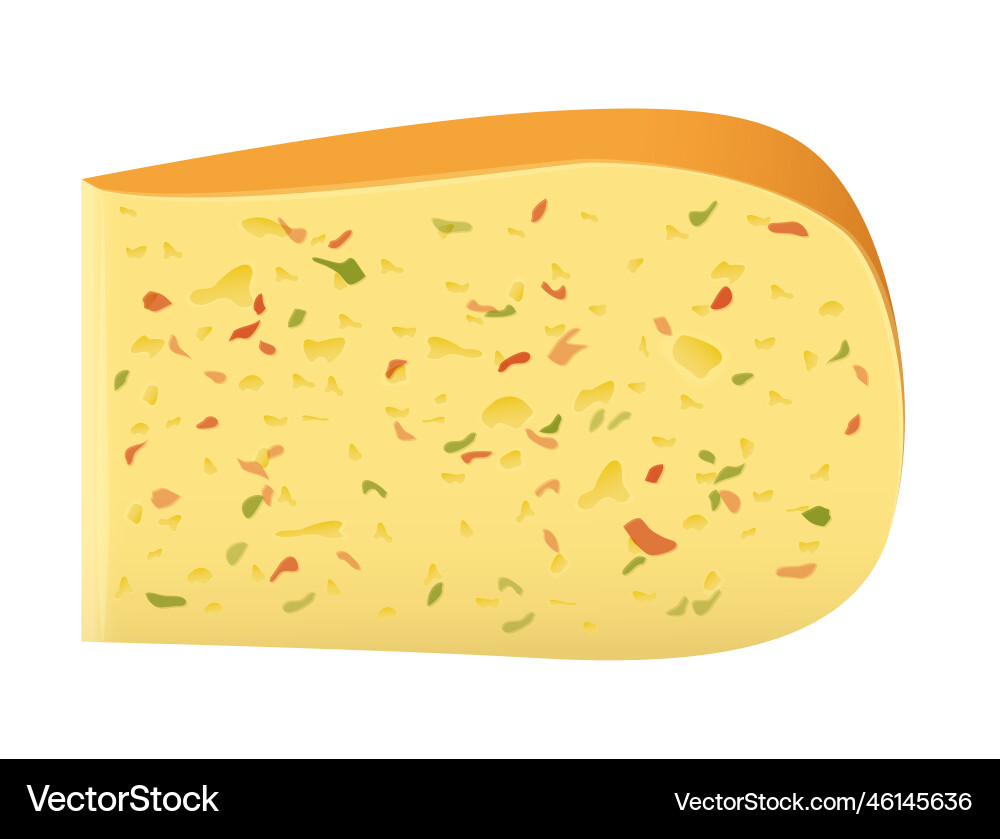 Homemade cheese with herbs Royalty Free Vector Image
