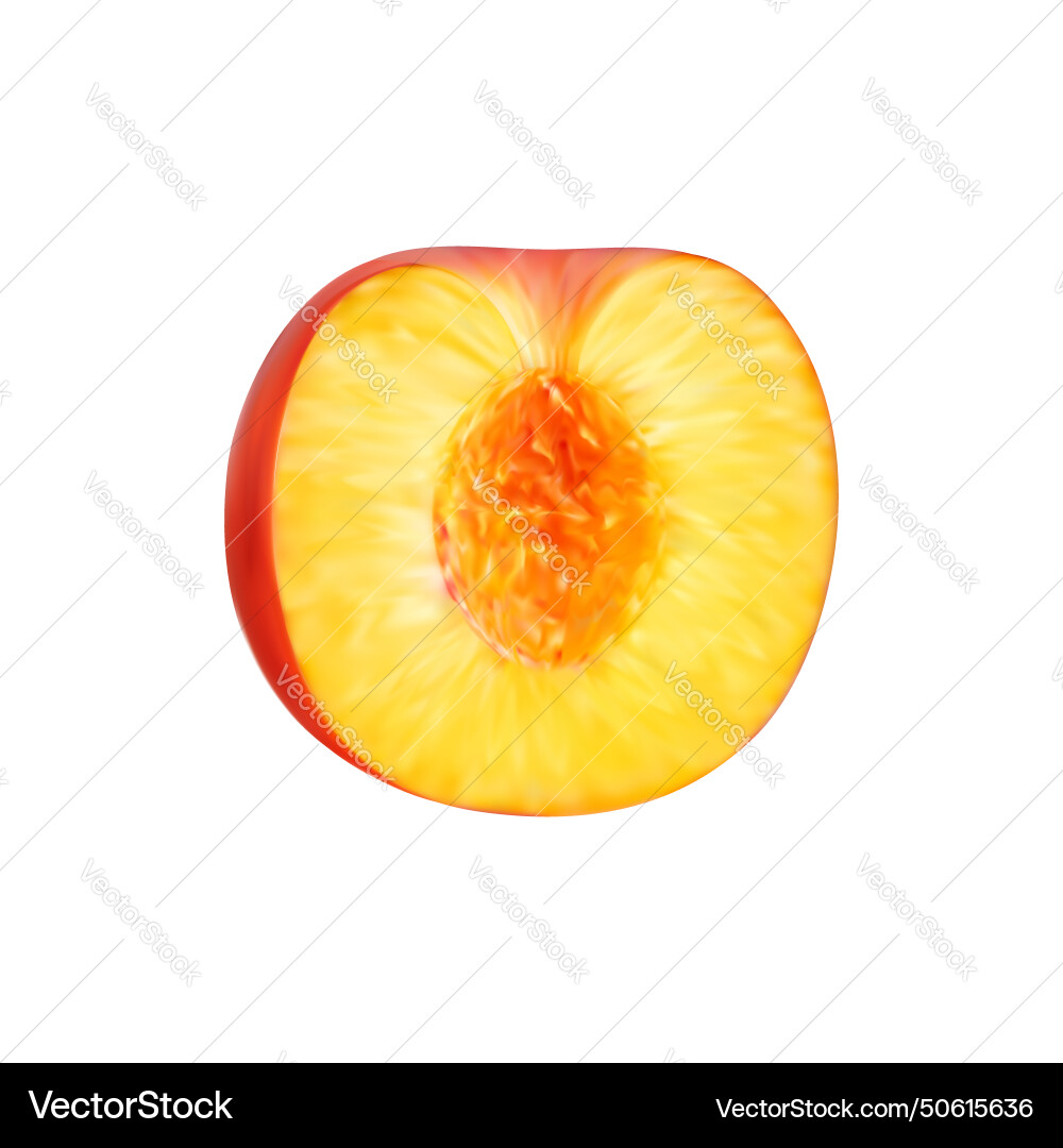 Realistic ripe peach fruit half cut without seed Vector Image