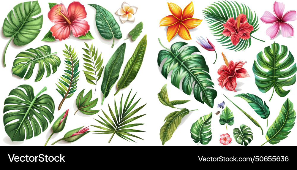 Realistic set of tropical Royalty Free Vector Image