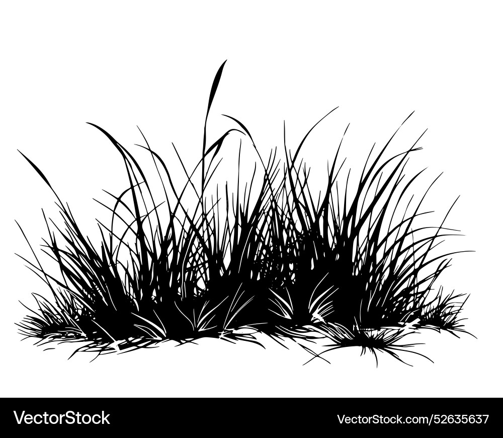 Grass hand drawn style Royalty Free Vector Image